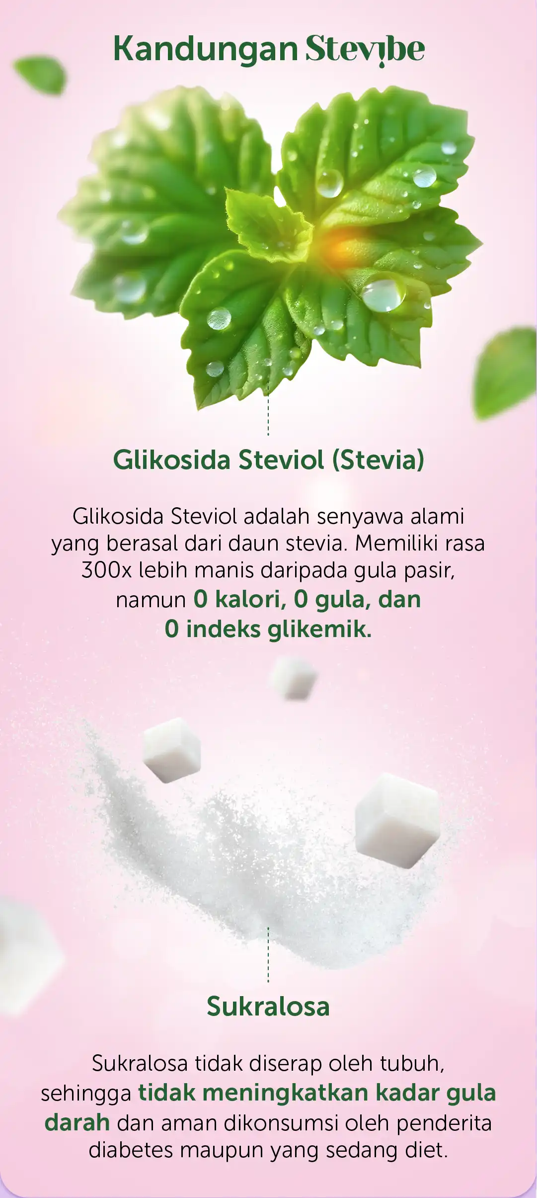 Stevibe – Flimty Indonesia
